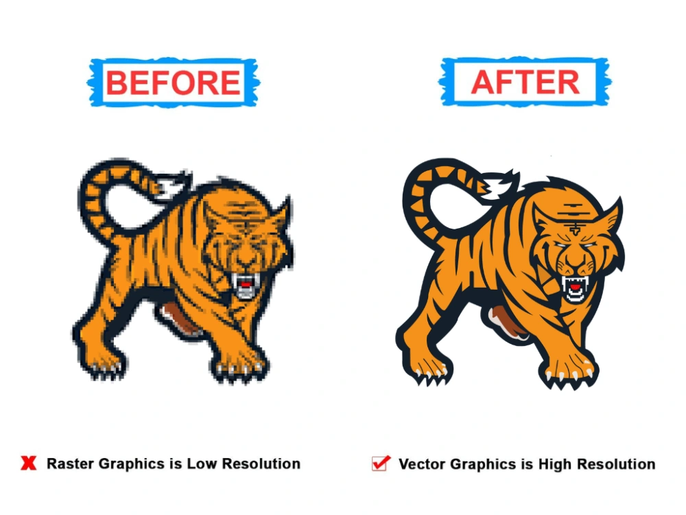 Convert your sketch or drawing to vector ai,eps,svg,pdf | Upwork