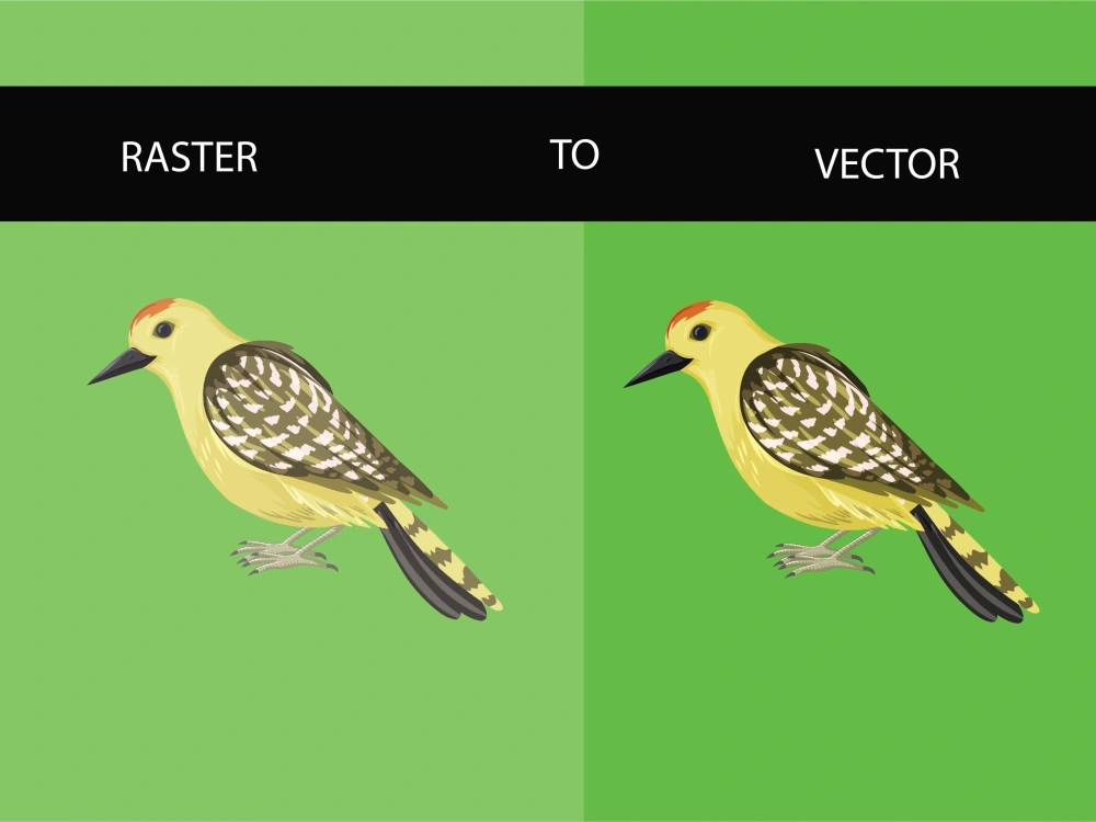 Vector tracing | Raster to vector | Recreate logo with High quality file | Upwork