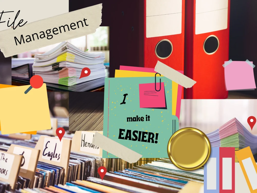 Get an organized and systematic File Management | Upwork