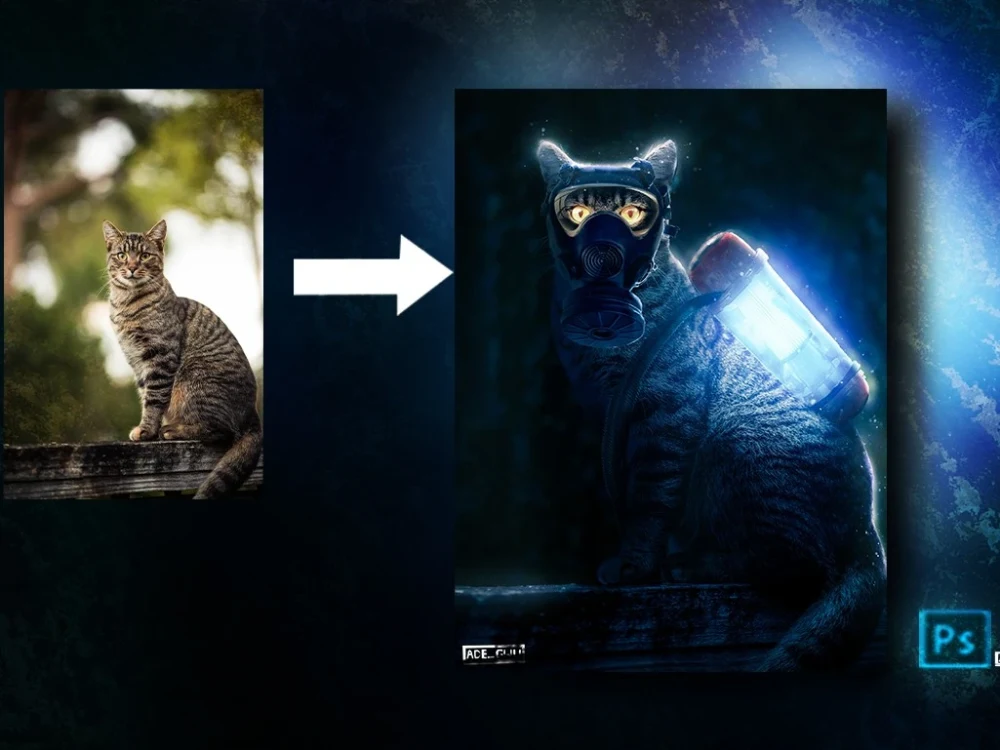 A realistic and professional photo edit and photo manipulation | Upwork