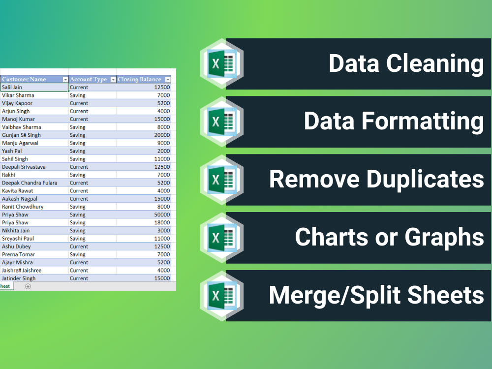 A specialist on Data cleaning and formatting with Excel Data Analysis ...