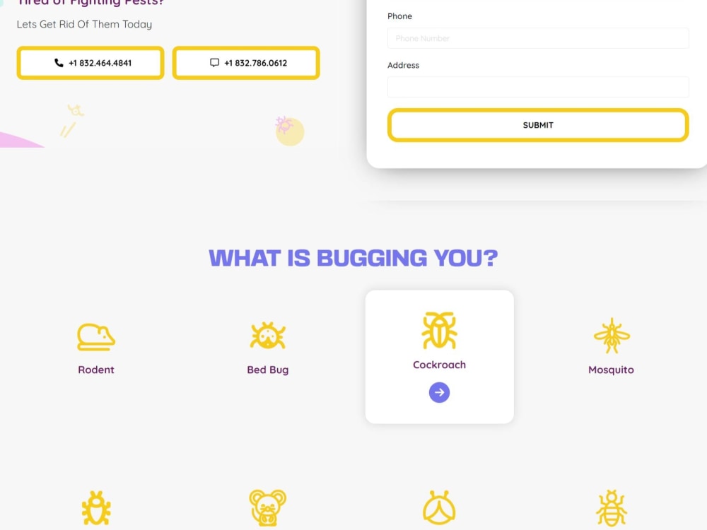 A successfully converting WordPress Website | Design | Developer | Upwork