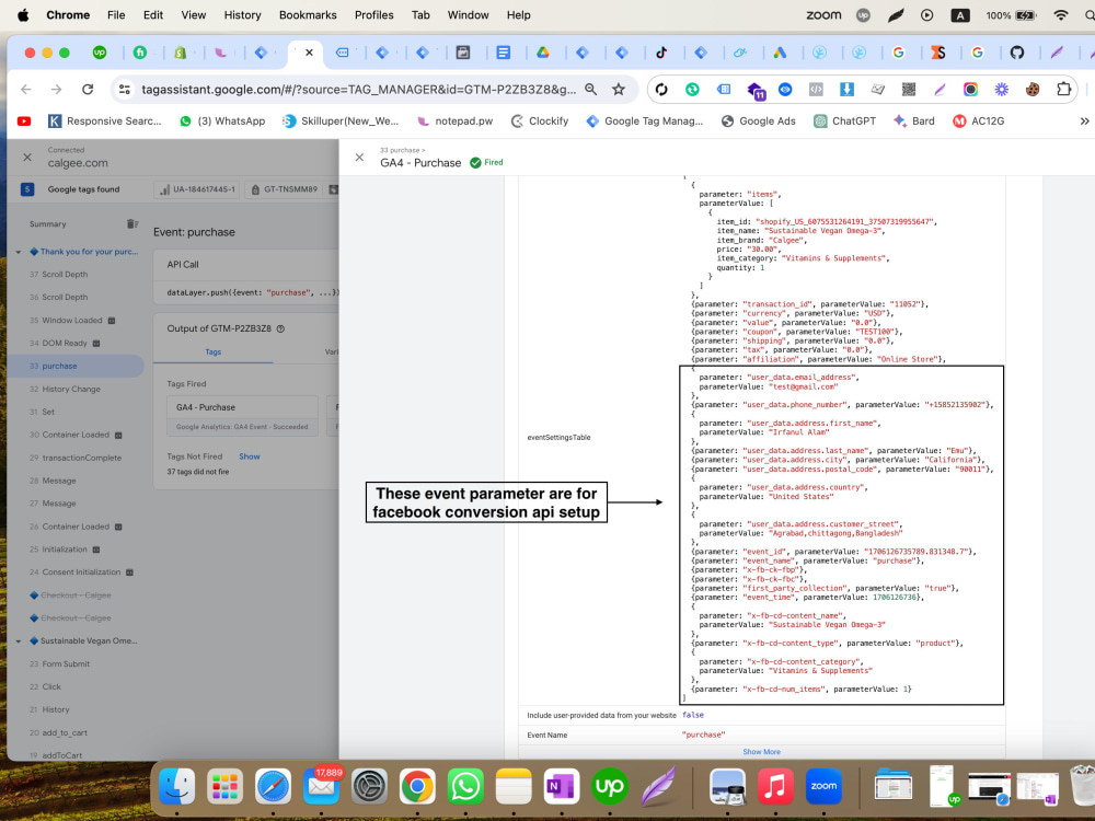 Meta conversion api, Meta pixel api through google tag manager GTM | Upwork