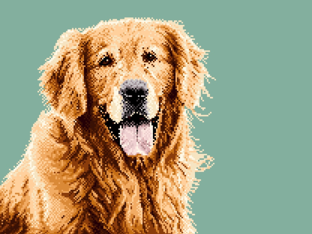 Cool custom pixel art potrait and stuff for NFT, vtuber or game assets | Upwork