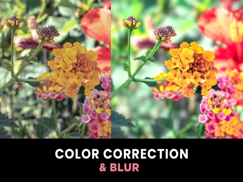 A Precision Photo Editing - Advanced Tools for Optimal Results | Upwork