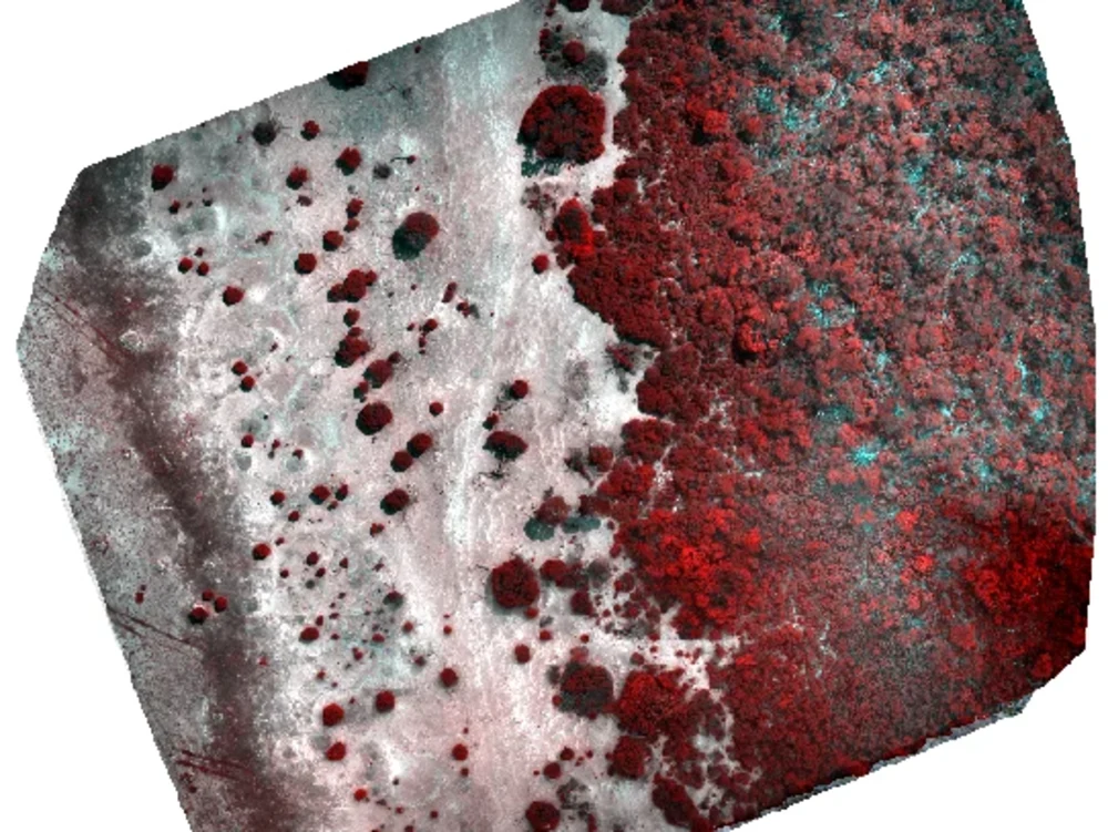 Orthophoto / orthomosaic imagery from drone images | Upwork