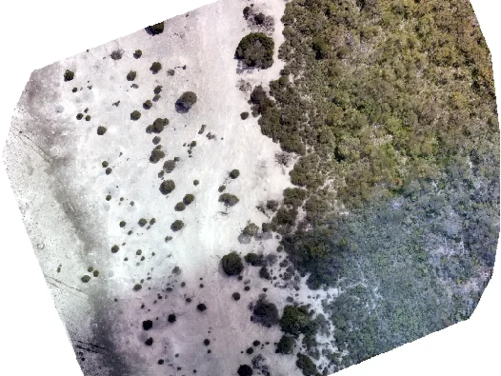 Orthophoto / orthomosaic imagery from drone images | Upwork
