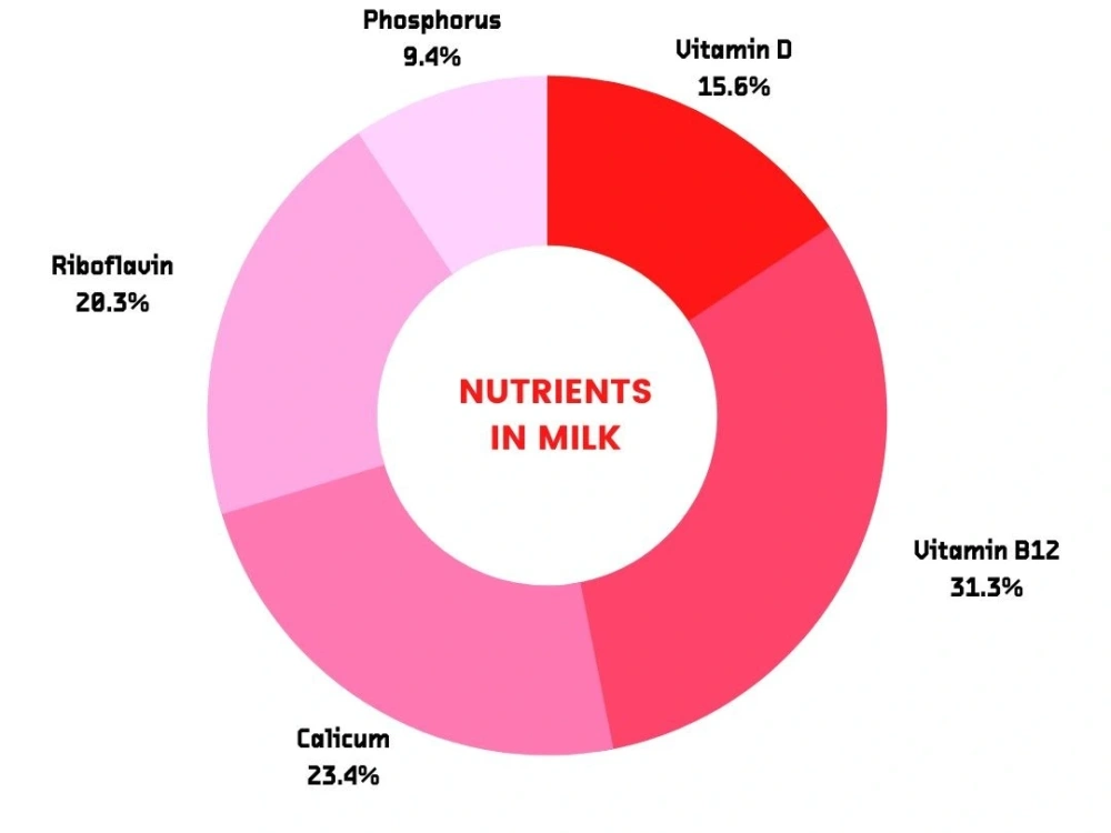 An attractive instagram infographics using canva | Upwork