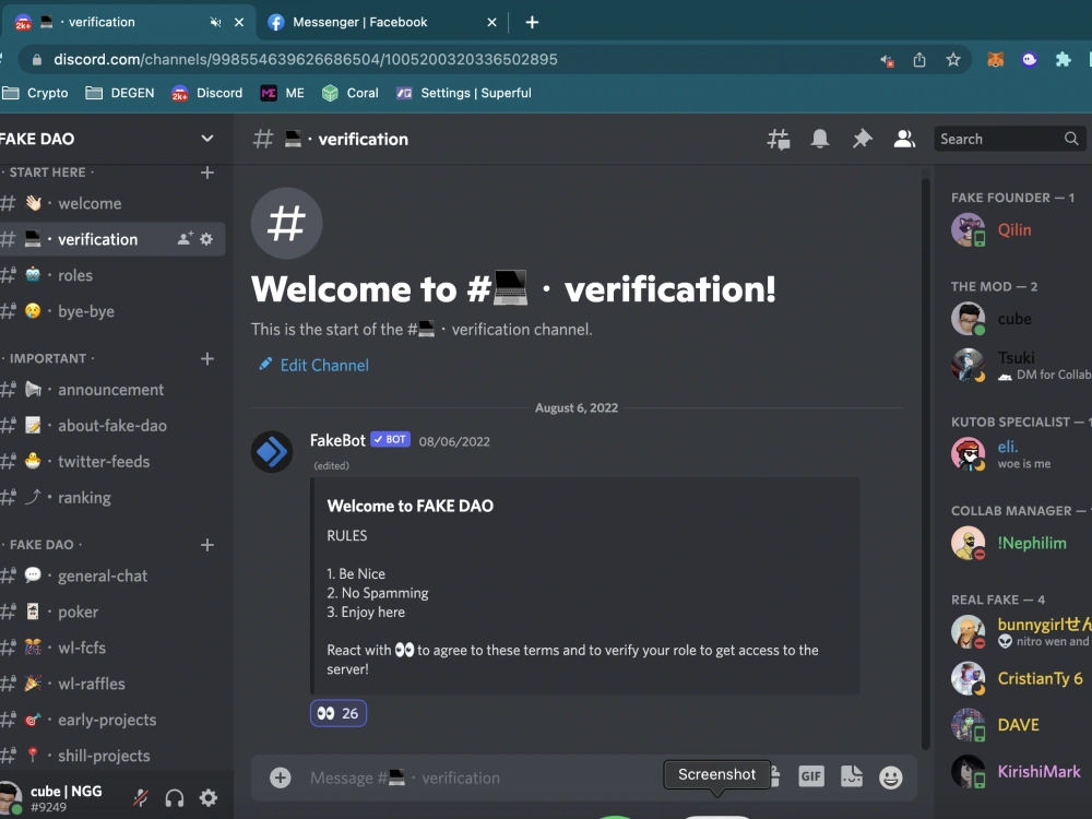 Custom professional discord server | Upwork