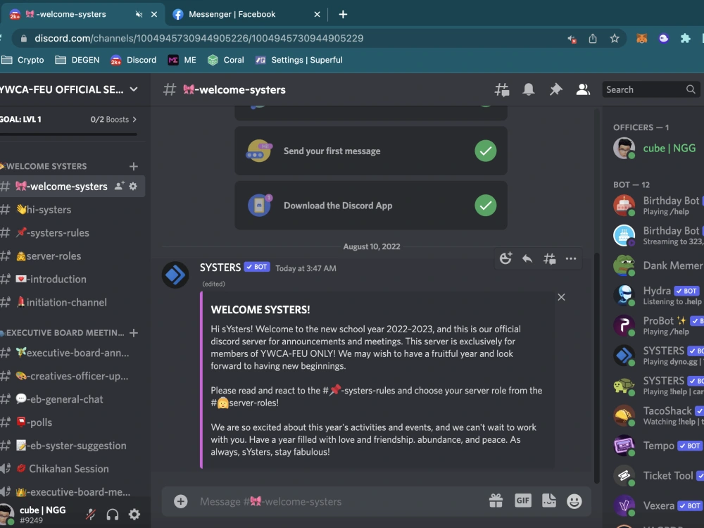 Custom professional discord server | Upwork