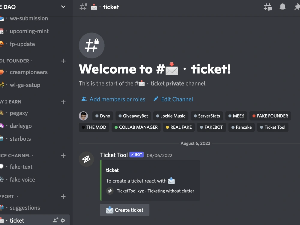 Custom professional discord server | Upwork