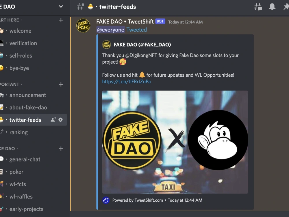 Custom professional discord server | Upwork