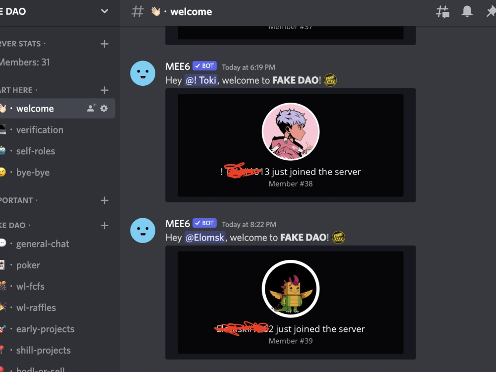 Custom professional discord server | Upwork