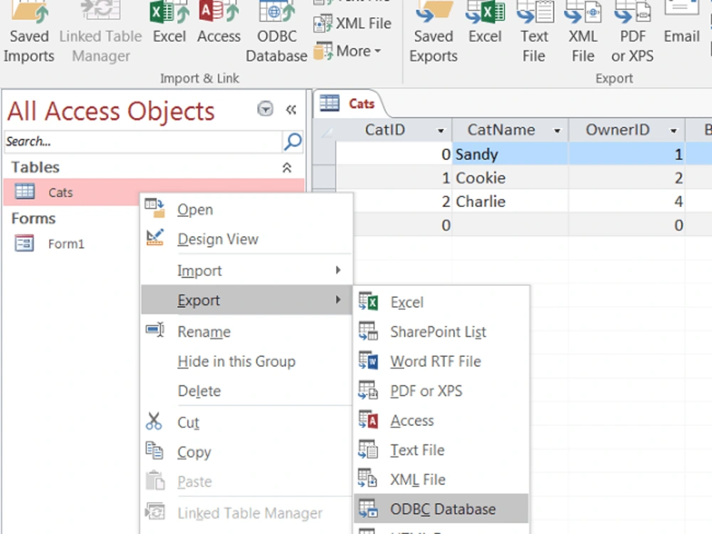 MS Access application implemented with Access- database for your business. | Upwork