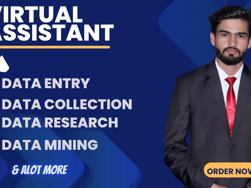 Fantastic VA for Data Entry, Web Research, Copy Paste | Upwork