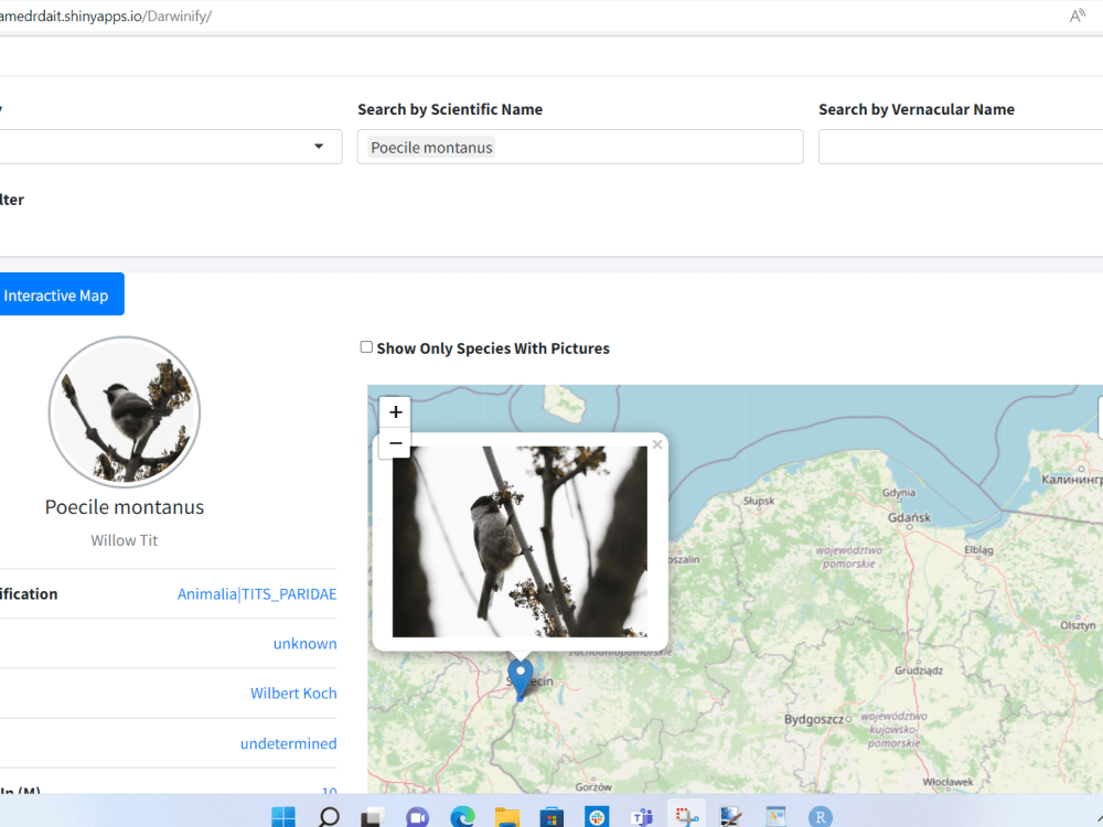 An Interactive R shiny Dashboard | Upwork