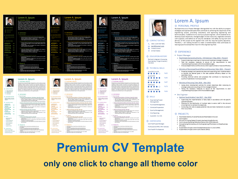 Professional Editable Curriculum Vitae | PowerPoint CV / Resume | Upwork