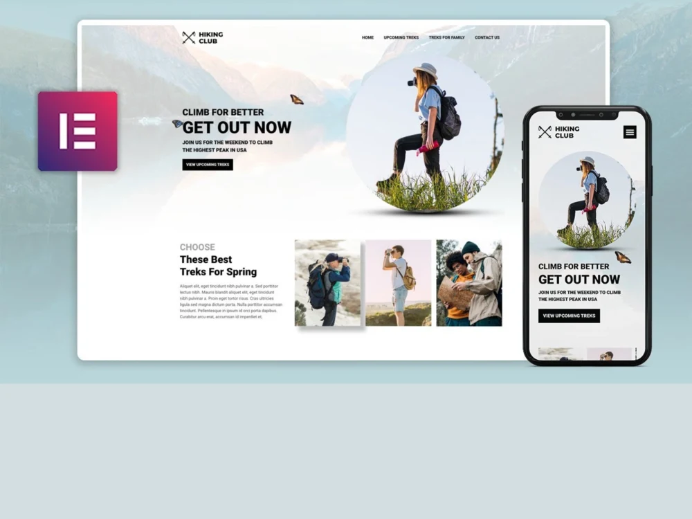 Elementor wordpress website design and wordpress website with elementor pro | Upwork