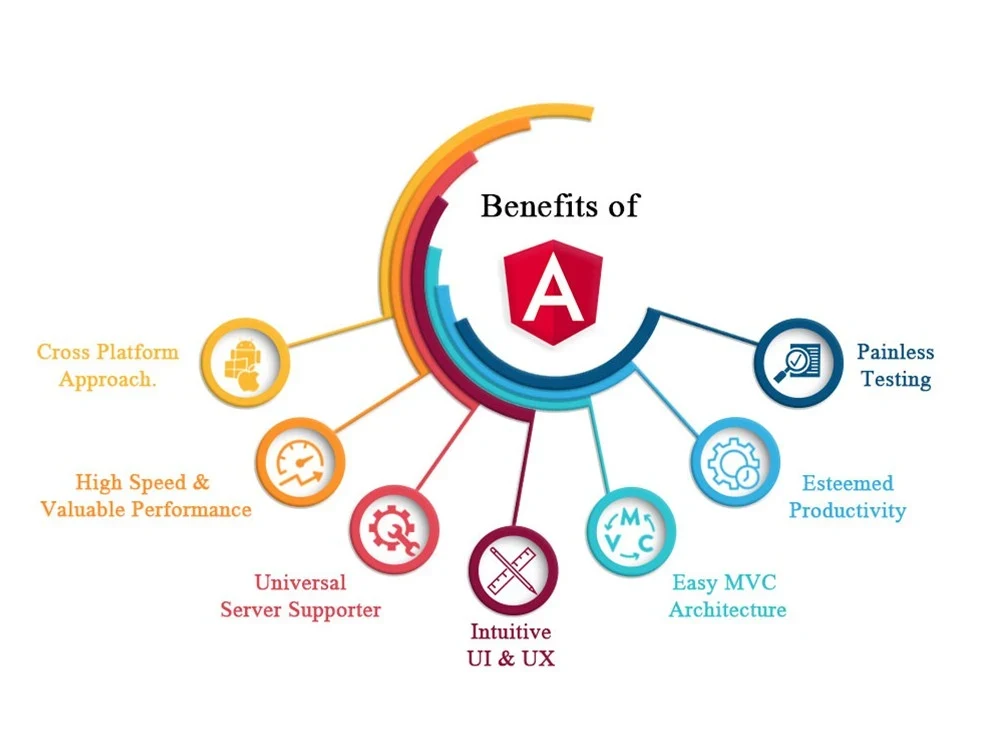 A Angular Full Stack Developer Upwork