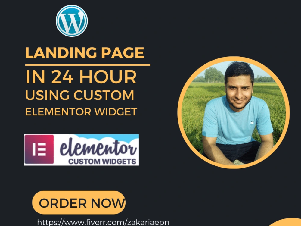 A WordPress landing page using a custom elementor widget. | Upwork
