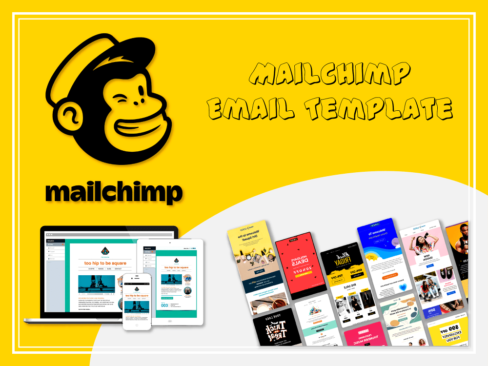 Editable Responsive Mailchimp Email Newsletter Template | Upwork