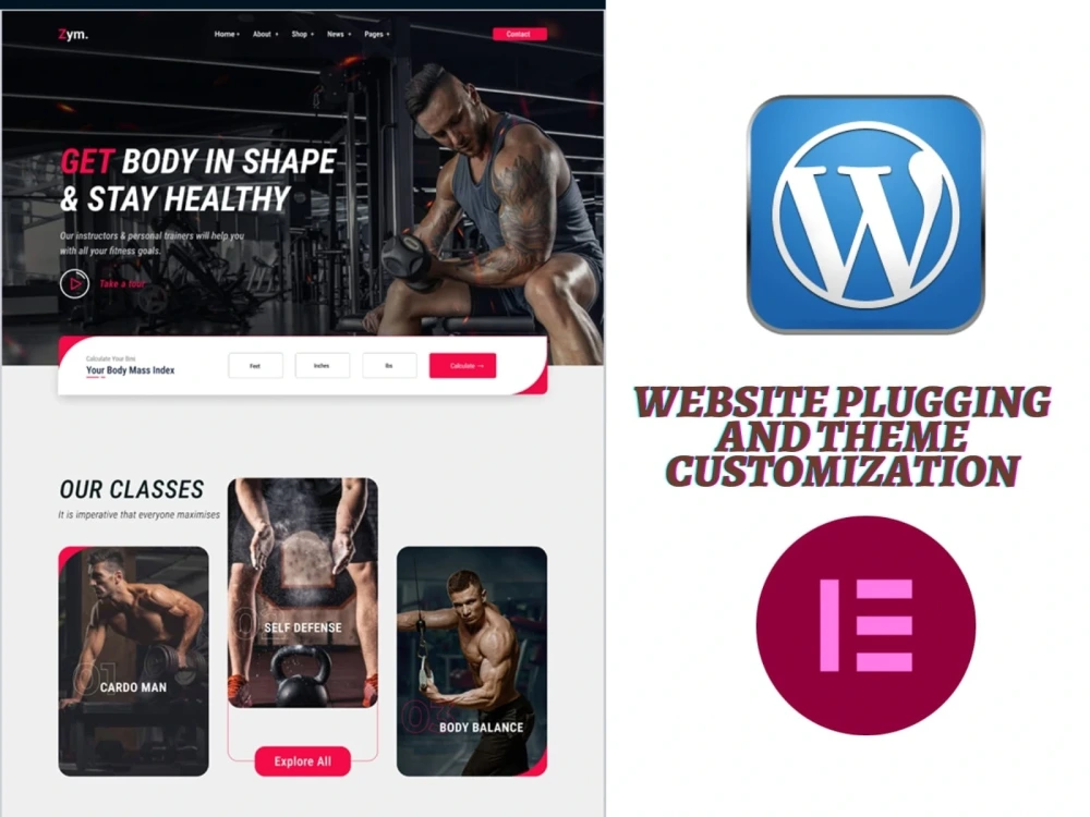 Customize Wordpress Theme Website Plugin Installation Upwork