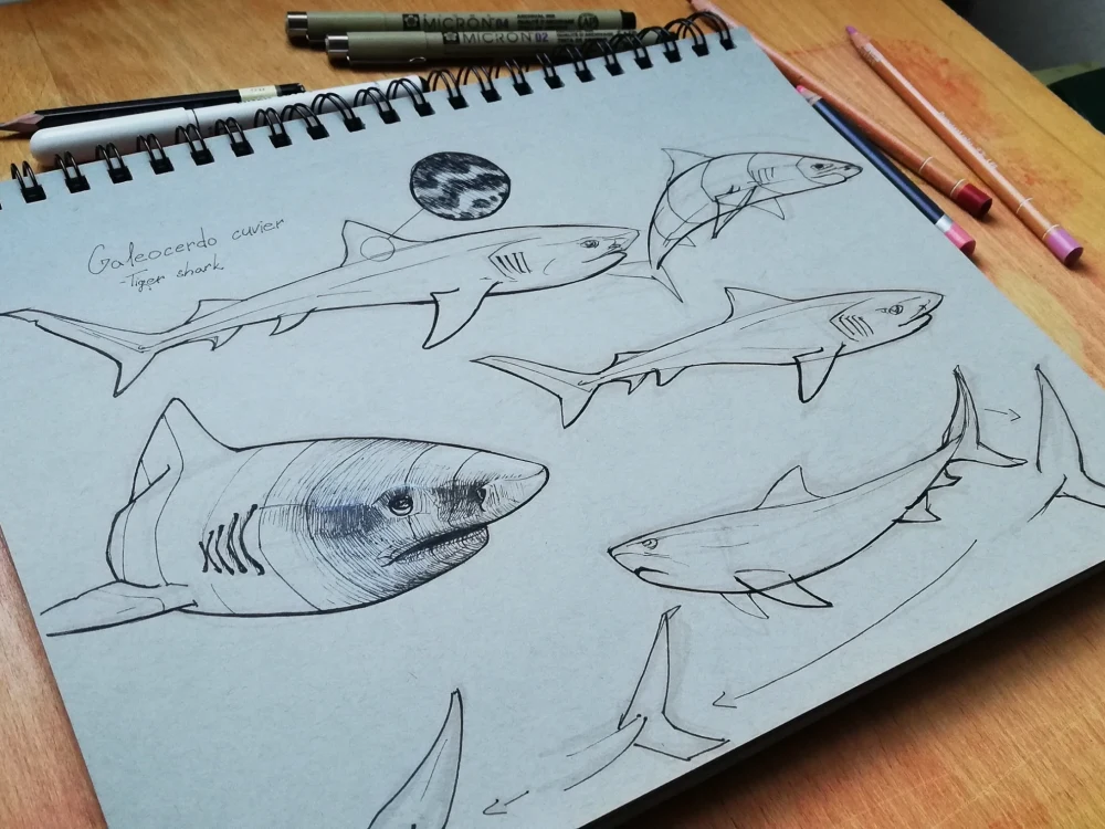 A wonderful and simple drawing lesson | Upwork