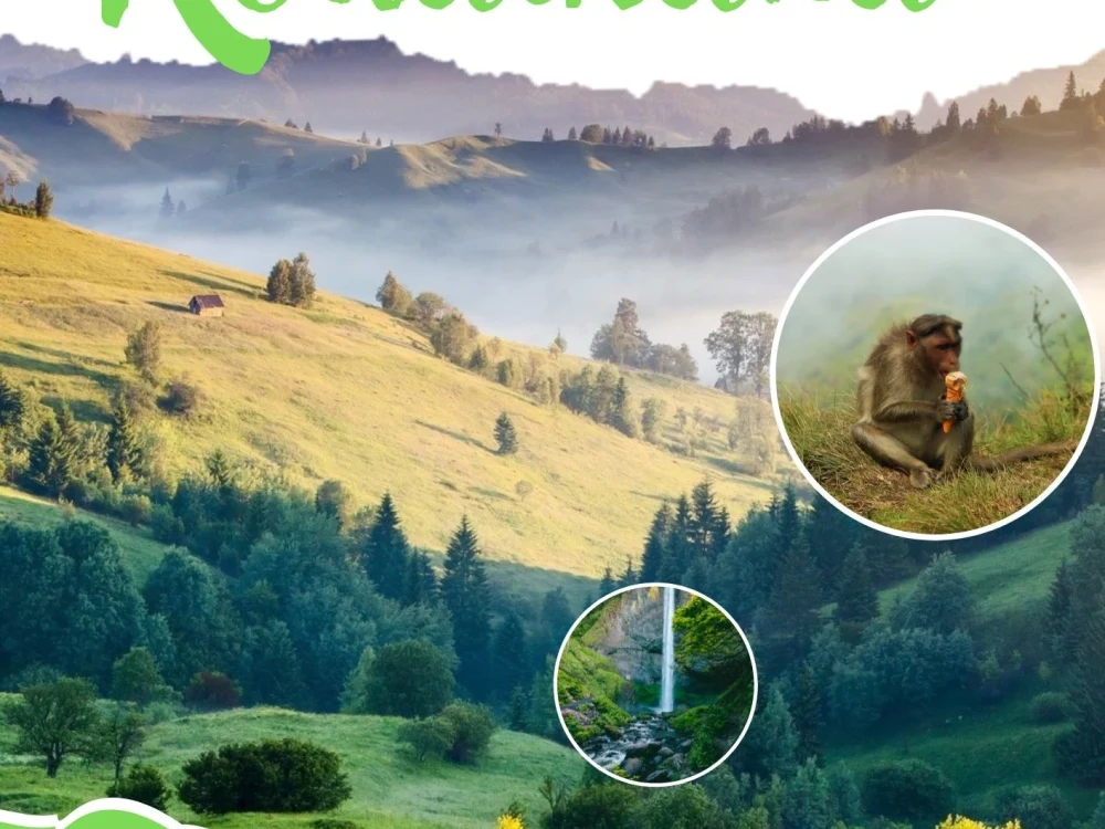 An eye catching ad designs & invites, Professional business cards ...