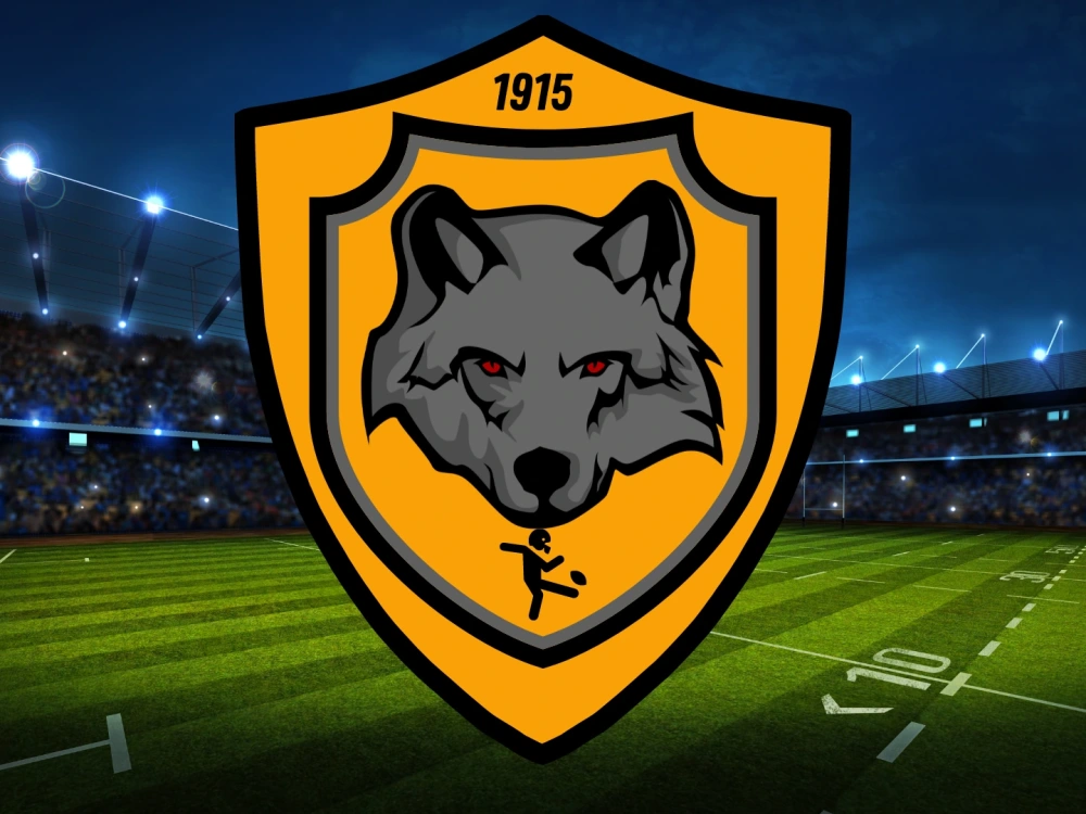 An awesome mascott carton logo/for your Sport Team/Esports/Brands | Upwork