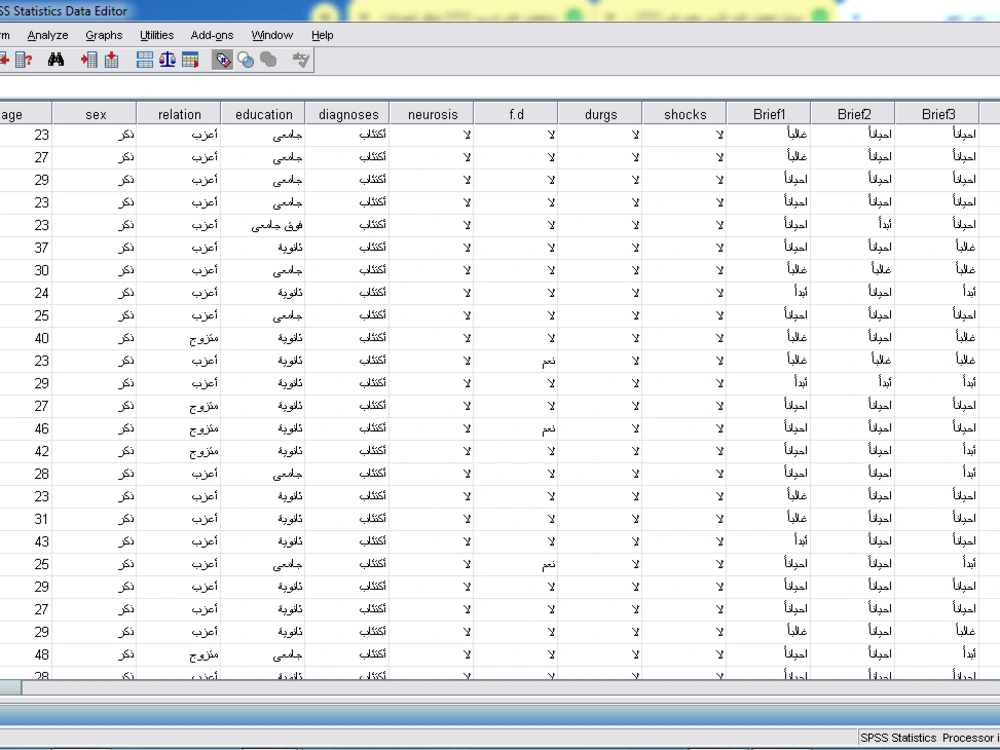Comprehensive, accurate and clear statistical analysis using spss, excel, R | Upwork