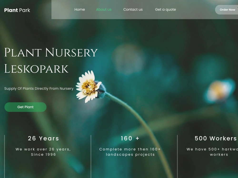 An amazing and modern website design (UI/UX) | Upwork