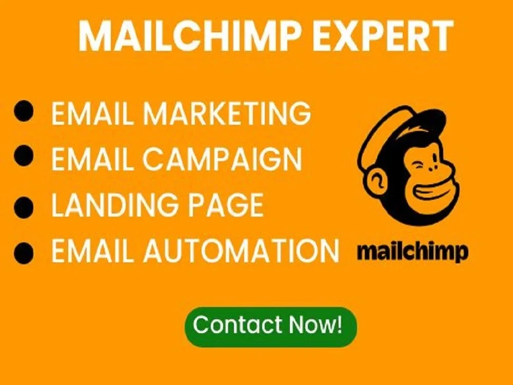 Mailchimp email campaign, template and automation for your business ...