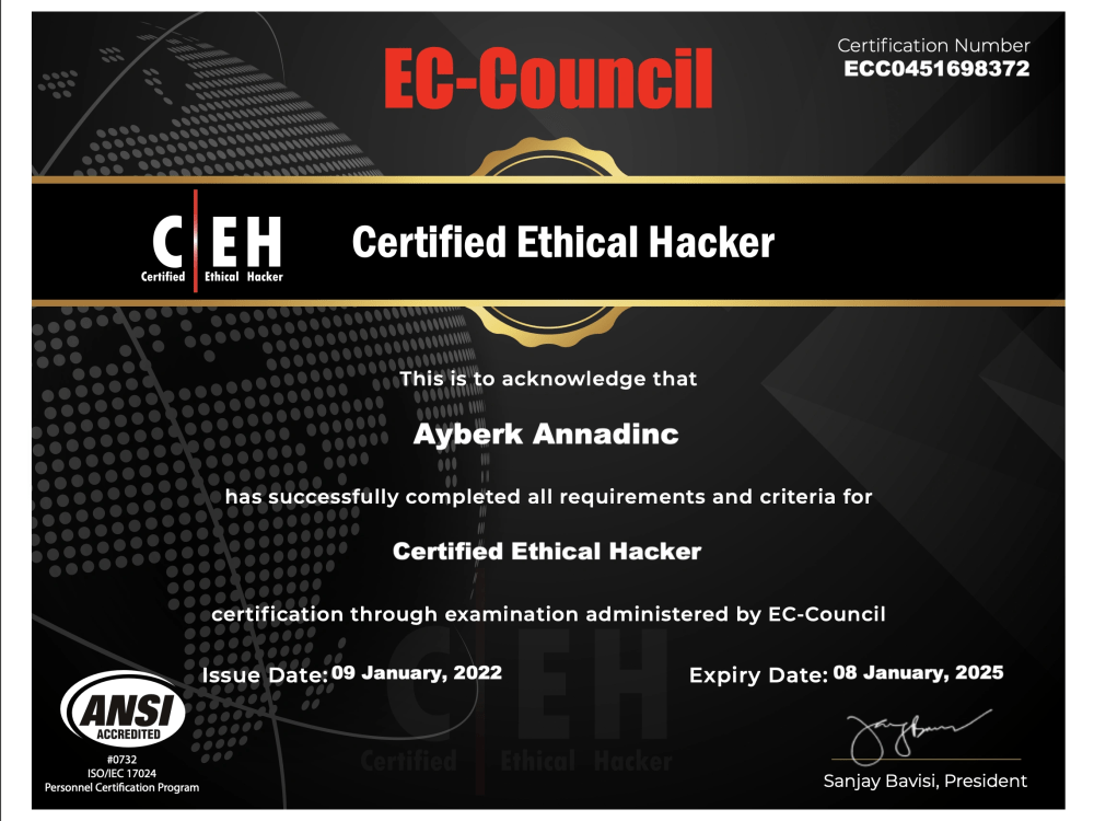 Professional web pentest, detailed report and support | Upwork