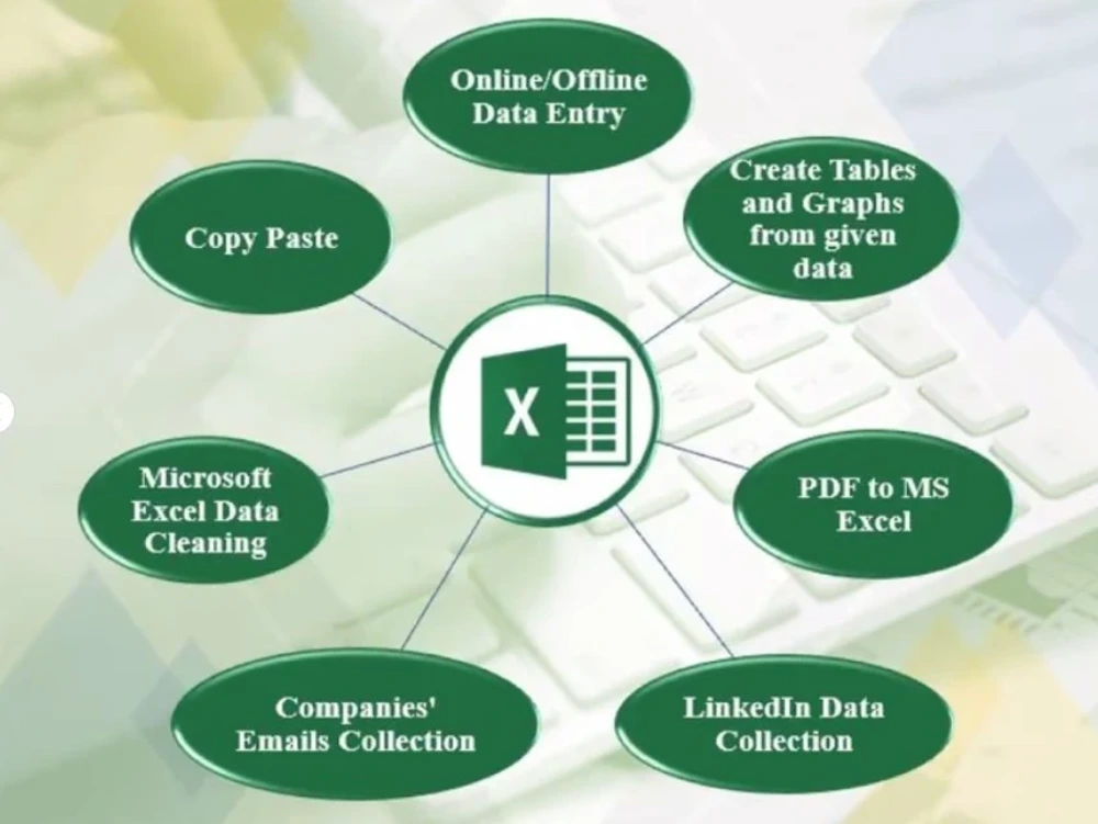 Professional MS Excel Data Entry Services | Upwork