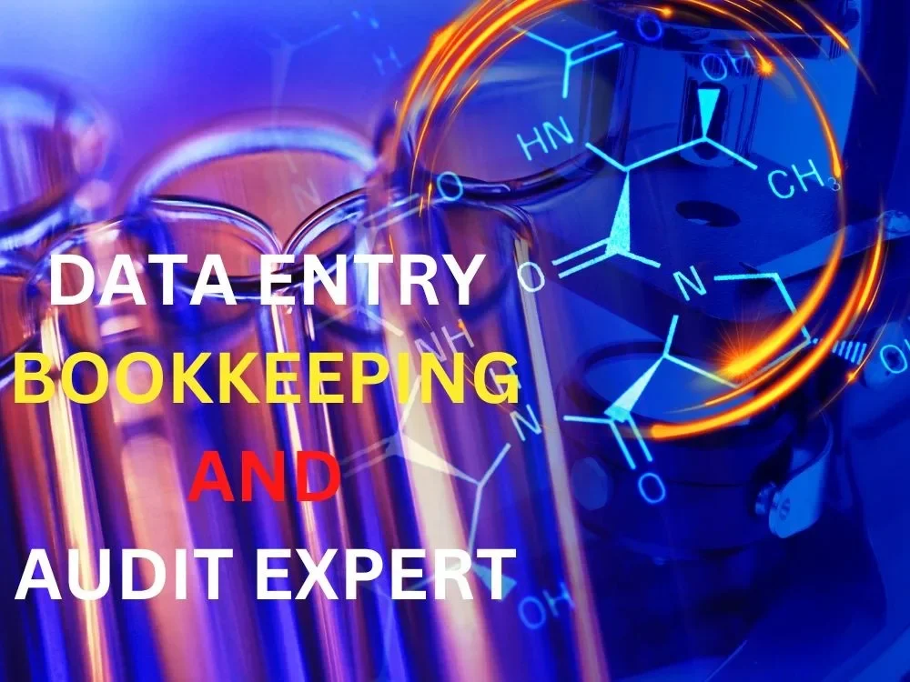 A Data entry, Book Keeping and audit assignments | Upwork