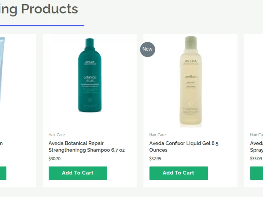 Fully functional E-Commerce WordPress website | Upwork