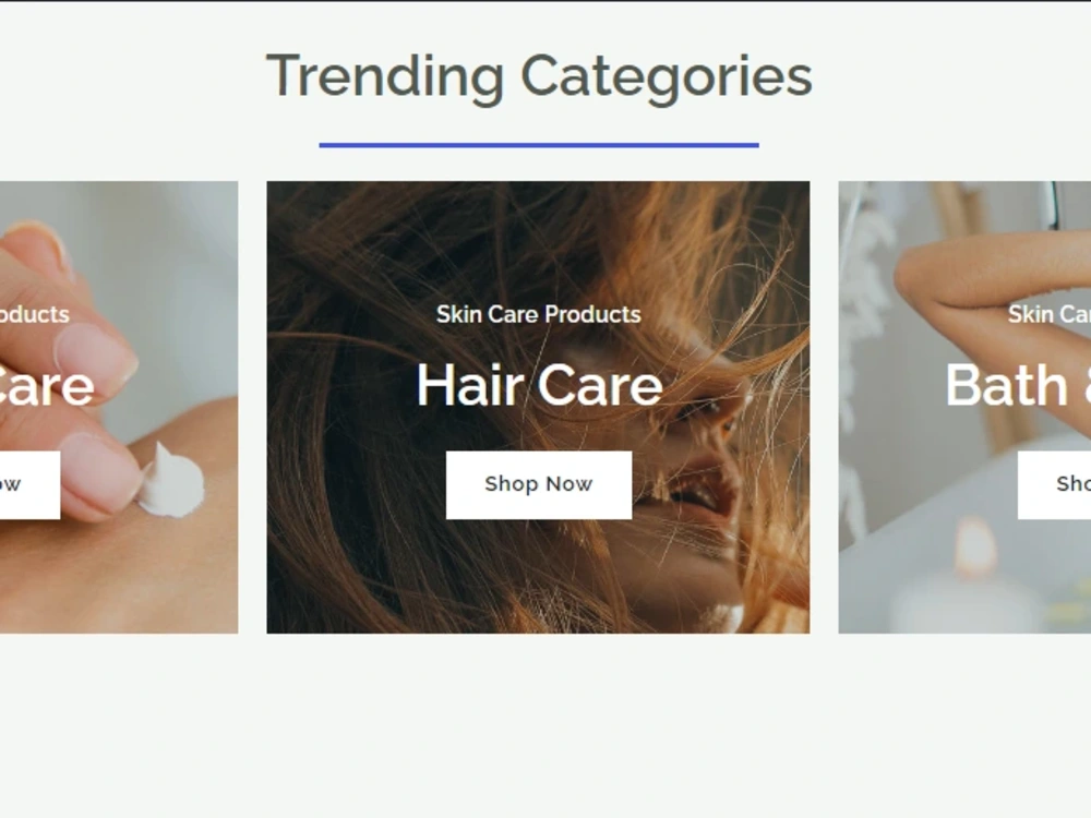 Fully functional E-Commerce WordPress website | Upwork