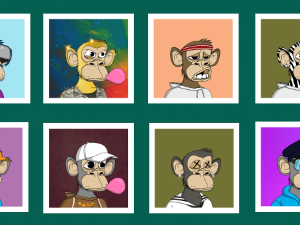 A rare 2D NFT art collection | Upwork