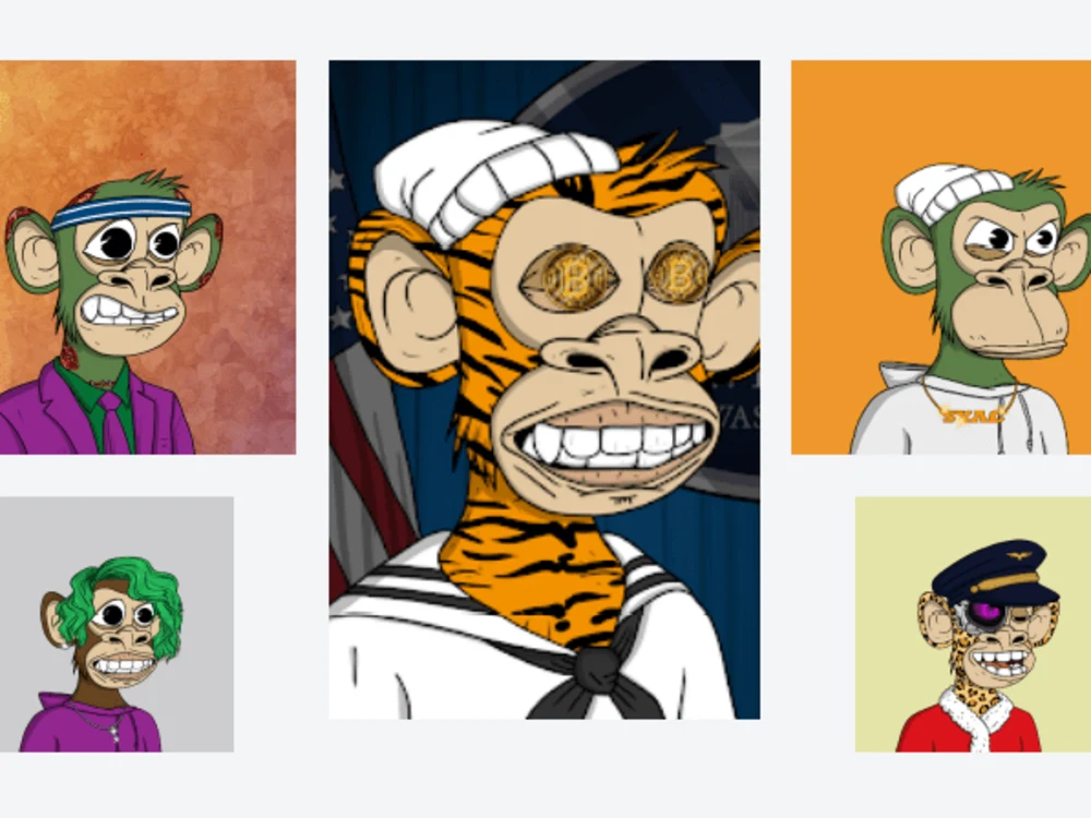 A rare 2D NFT art collection | Upwork