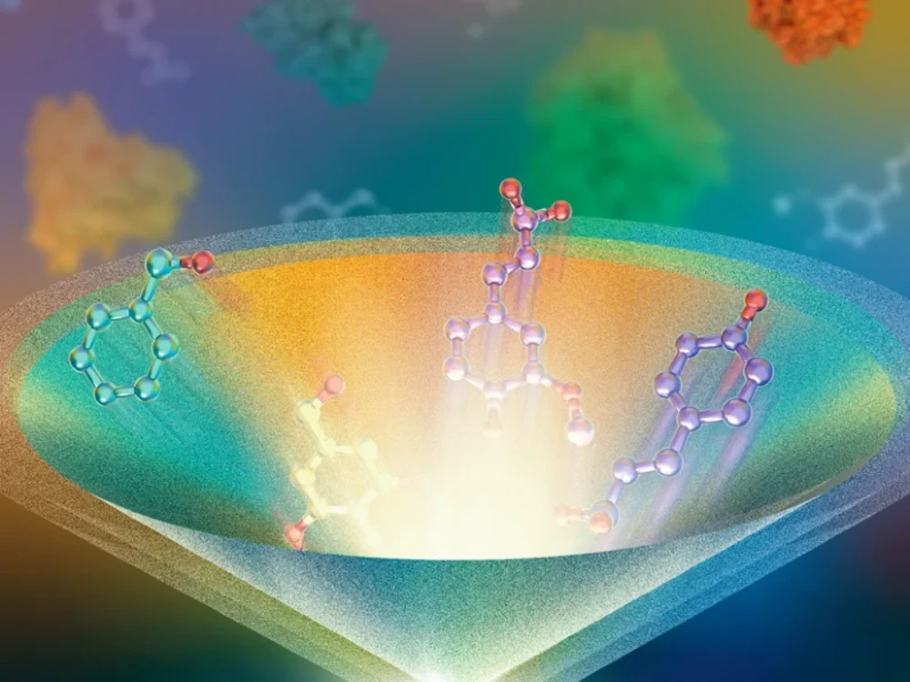 A scientific journal cover design | Upwork