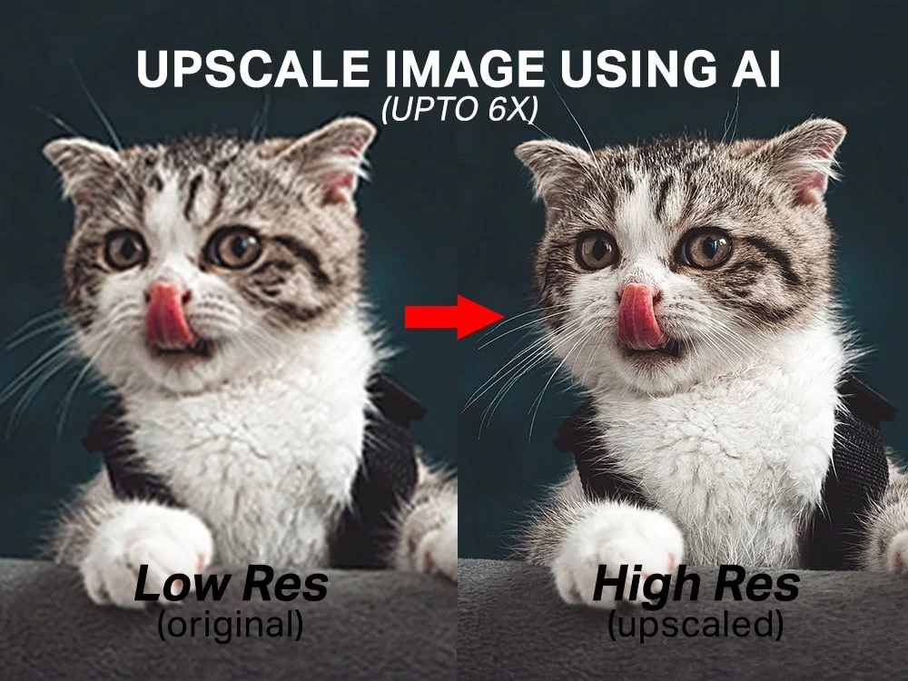 Your low resolution image upscaled to high resolution using AI | Upwork