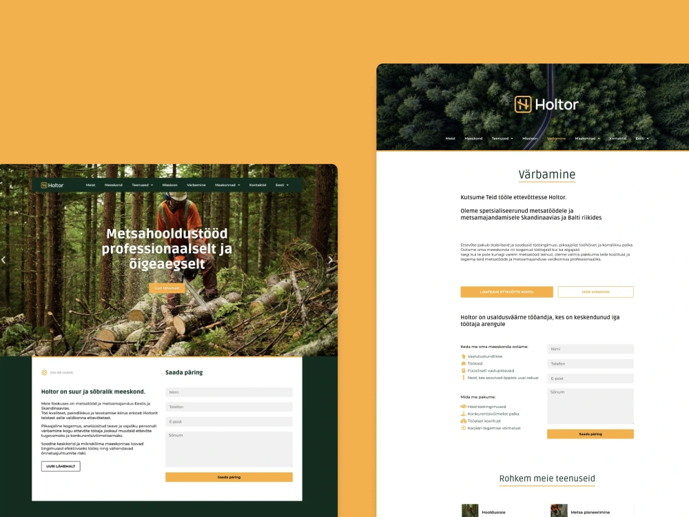 A modern and user-friendly website design | Upwork