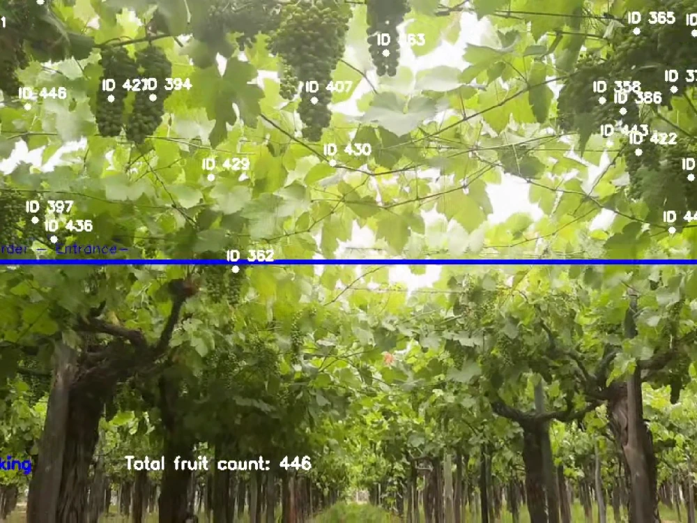 A Custom State Of The Art Object Detection Model Upwork