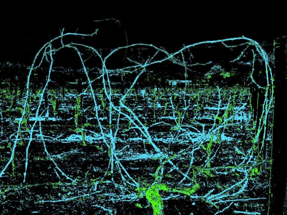 A Custom State Of The Art Object Detection Model Upwork