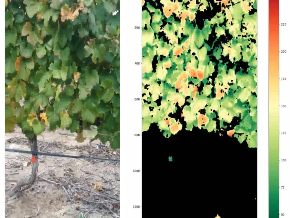 A Custom State Of The Art Object Detection Model Upwork