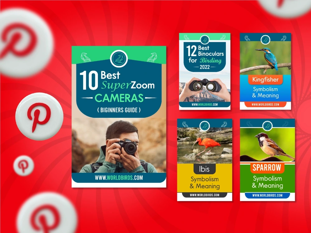 A creative and attractive social media post & amazing post graphics ...