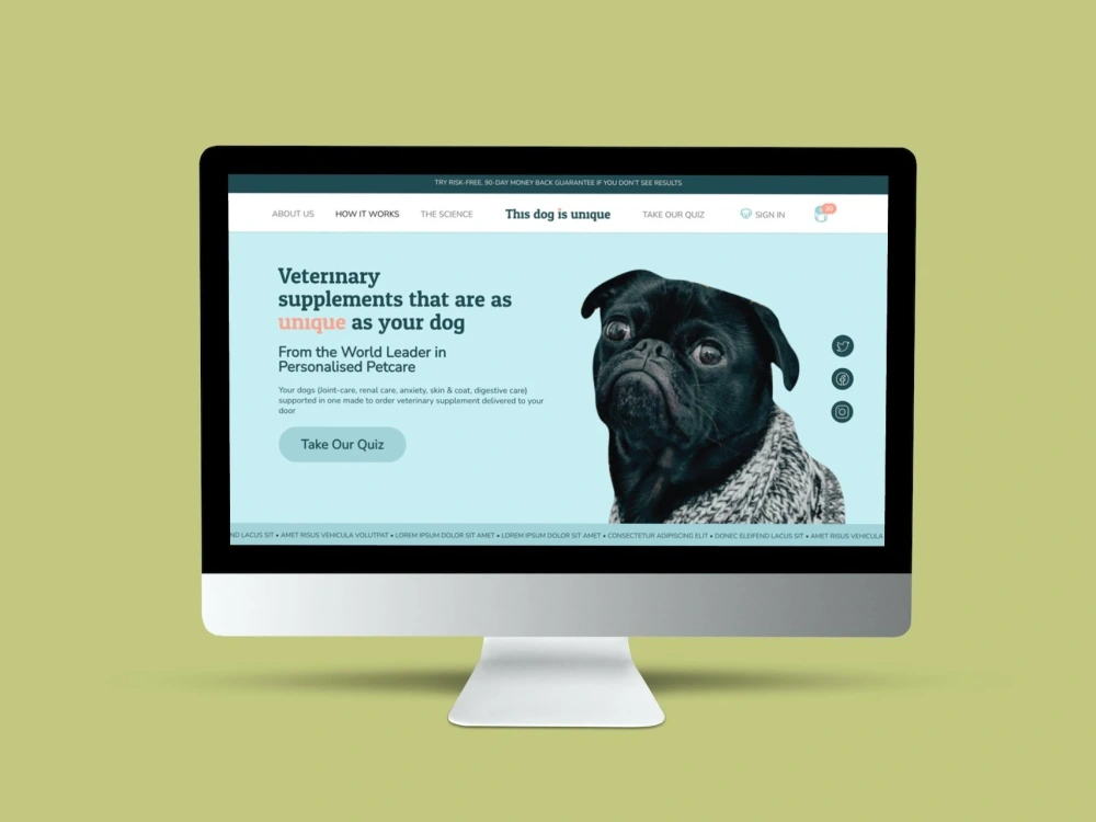 A ReactJS Frontend Web Application | Upwork