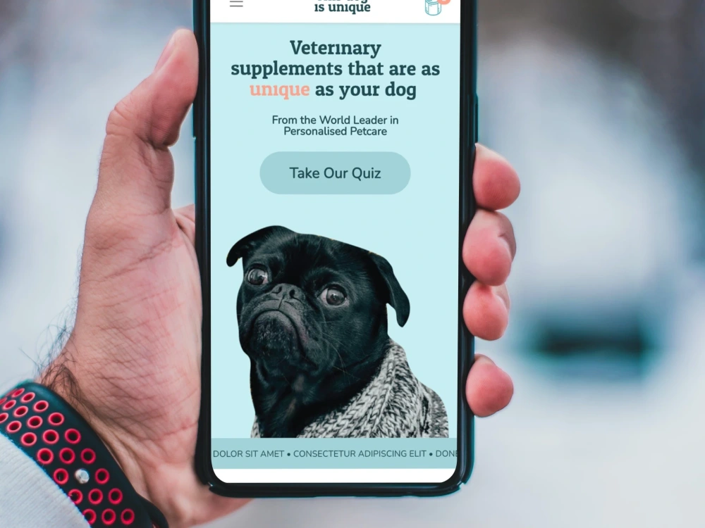 A ReactJS Frontend Web Application | Upwork