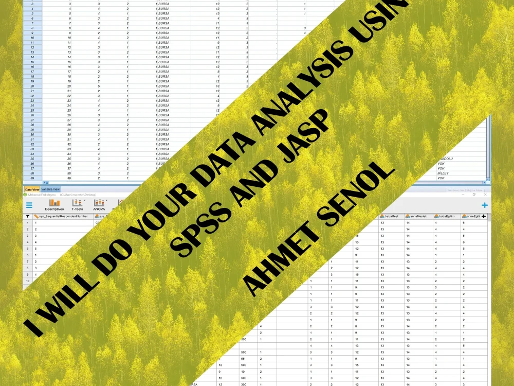 Your data analyzed using JASP or SPSS | Upwork