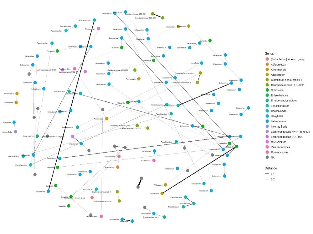 Complete 16 Microbiome bioinformatics analysis in 10 working days | Upwork